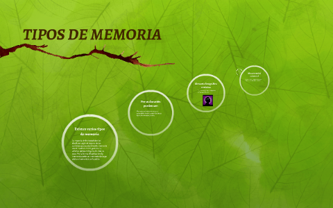 TIPOS DE MEMORIA by Alfonso Montenegro García on Prezi