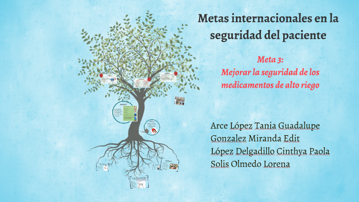 Metas internacionales en la seguridad del paciente by Tani Gpe on Prezi