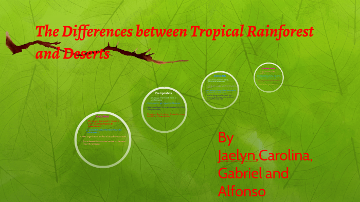 The Differences between Tropical Rainforest and Deserts by Jaelyn Lopez ...