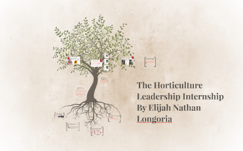 My PSC internship by Nathan Longoria on Prezi