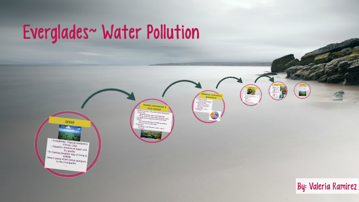 Everglades~Water Pollution by Valeria Ramirez on Prezi