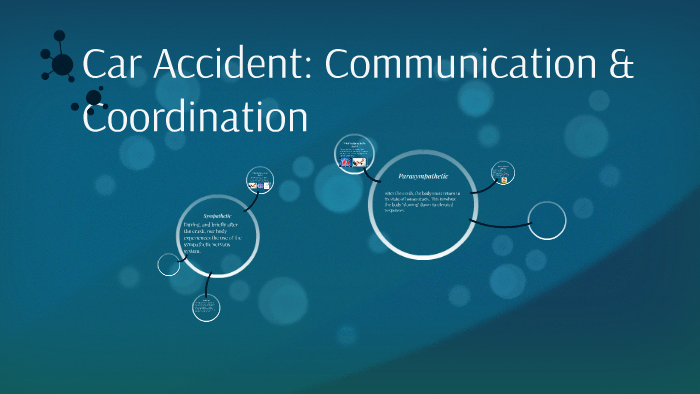 Car Accident: Communication & Coordination by Alli Ray on Prezi