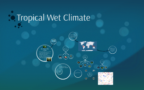 Tropical Wet Climate by Bailey Kramer on Prezi