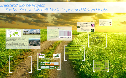 Grassland Biome Project! by Kaitlyn Hobbs on Prezi