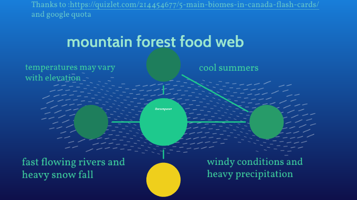 mountain forest animal food web by hurr qazilbash on Prezi