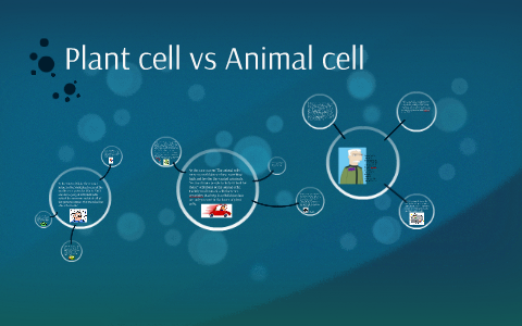 cell cartoon plant cell vs animal cell by Brittany Brazell on Prezi