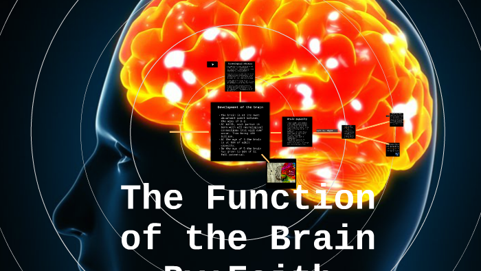 The Function of the Brain by on Prezi