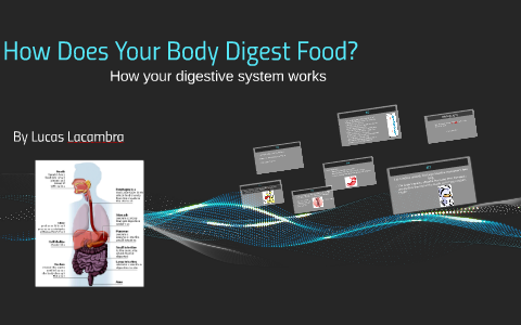 How does your Digestive System Work? by Lucas Lacambra on Prezi
