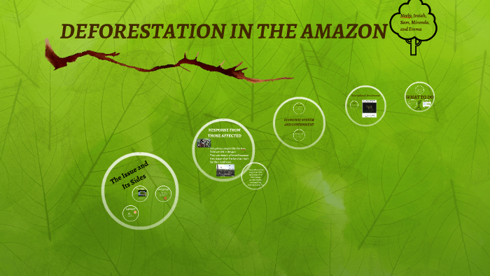 DEFORESTATION IN THE AMAZON by Emma Brand on Prezi
