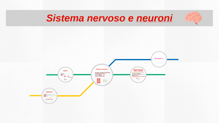 Sistema nervoso e neuroni by Elena Spanu on Prezi