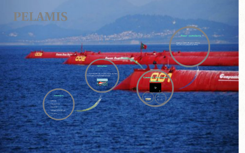 PELAMIS by Johan Garcia on Prezi