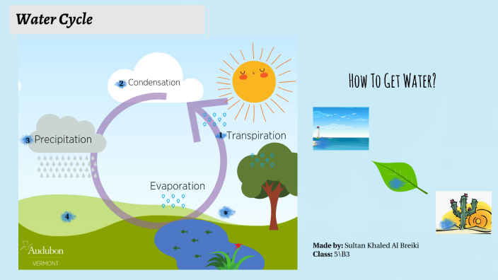 Water Cycle by A YB