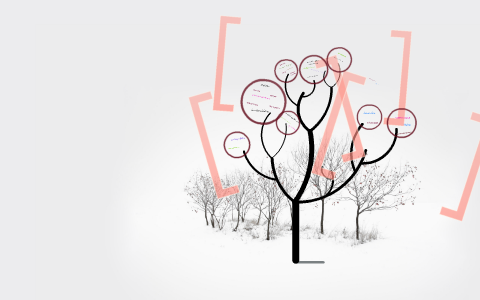 organogram organisatie by Trees van Leeuwen