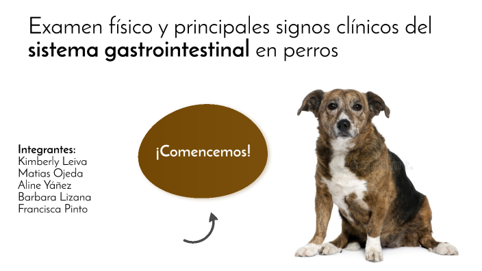 Examen físico y principales signos clínicos del sistema ...