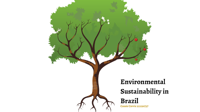 Environmental Sustainability in Brazil by Cassie Corrie on Prezi