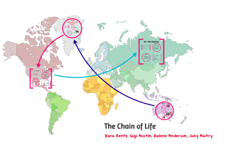 The Chain of Life by Kalene Anderson on Prezi