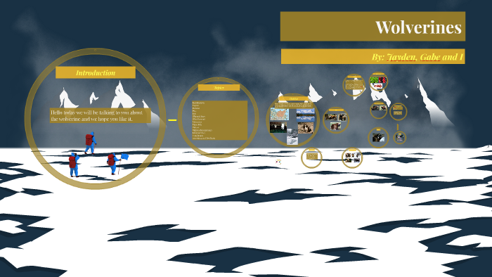 Wolverines by Gabriel Garner on Prezi