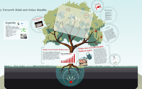 Should Canada Adopt a pure two-tier health care system? by Onkar Sandhu ...