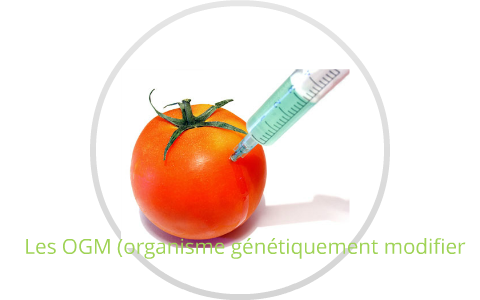 Les OGM (organisme génétiquement modifier) by Hannah Brown on Prezi