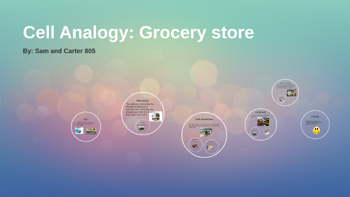 Cell analogy: Grocery store by on Prezi