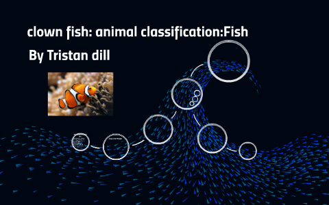 clown fish: animal classification by tristan dill on Prezi