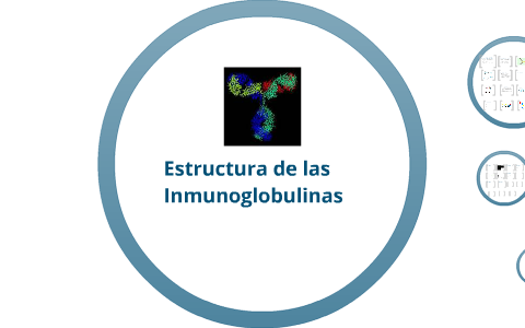 Estructura de las inmunoglobulinas by Sara Cortes Bargallo on Prezi