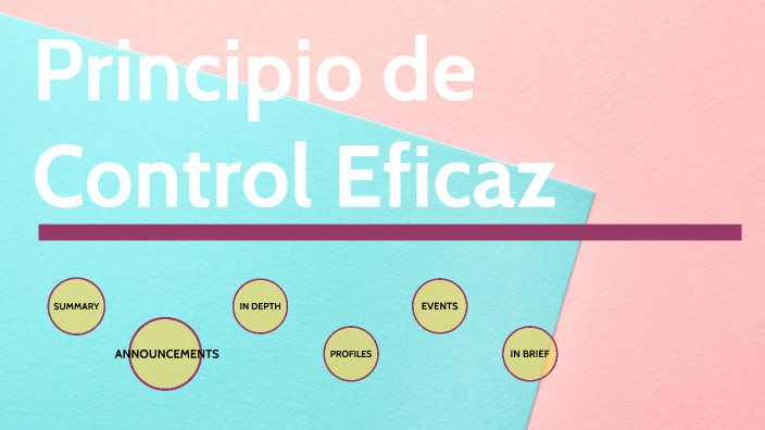 Principio de control eficaz by alejandra rivera on Prezi