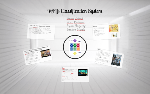 VALS Classification System by Sandra Nagle on Prezi