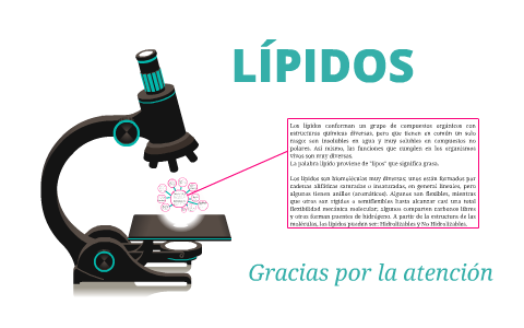 LÍPIDOS by Maria Badel on Prezi