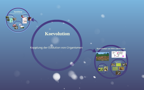 Koevolution by Eva Bottlang on Prezi