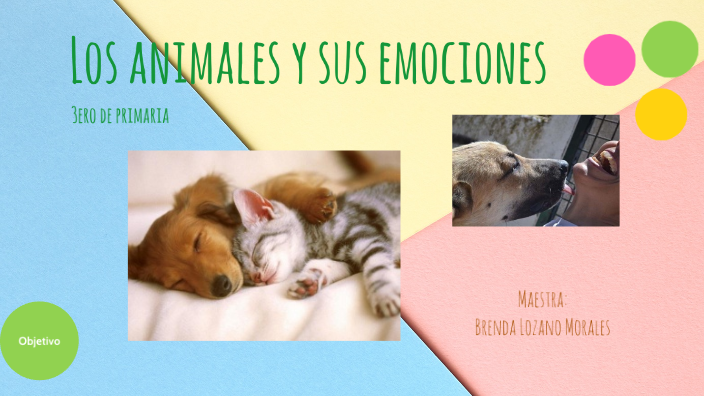 LOS ANIMALES Y SUS EMOCIONES by Brenda Lozano on Prezi