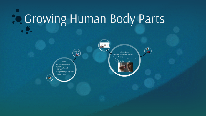 Growing Human Body Parts by Catalina Flores