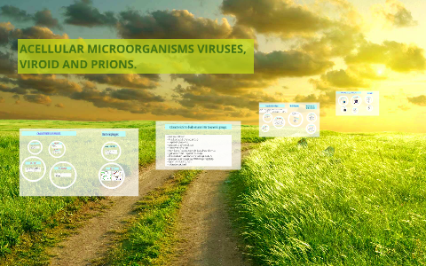 ACELLULAR MICROORGANISMS VIRUSES, VIROID AND PRIONS. by shakinah ...