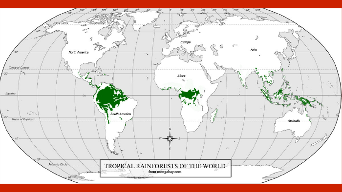 The Amazon Rainforest Peru by Erlinda Alicia Olivares Sierra on Prezi