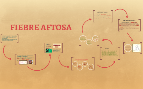 FIEBRE AFTOSA by Camila Galvis on Prezi