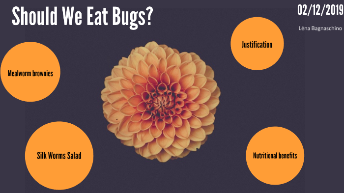 Should We Eat Bugs? by Léna Bagnaschino on Prezi