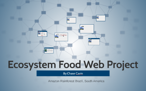 Ecosystem FoodWeb Project by chase cavin on Prezi