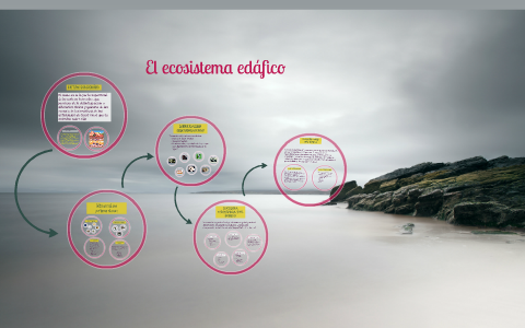 Ecosistema edáfico by on Prezi