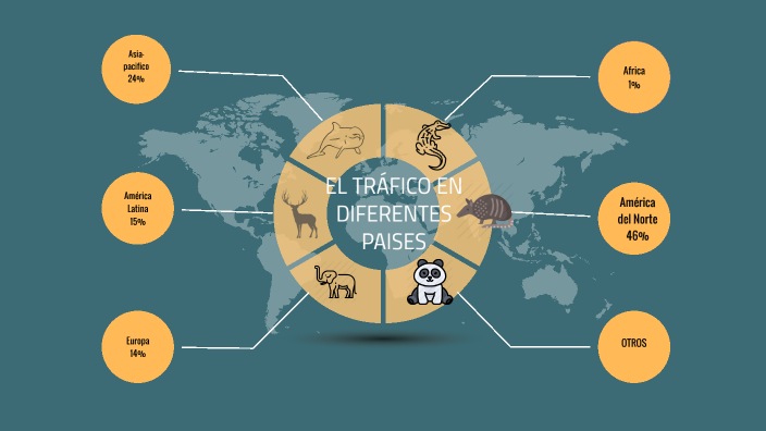 TRÁFICO DE ANIMALES EN DIFERENTES PAISES by EDUARDO ALBERO BARCELÓ on Prezi