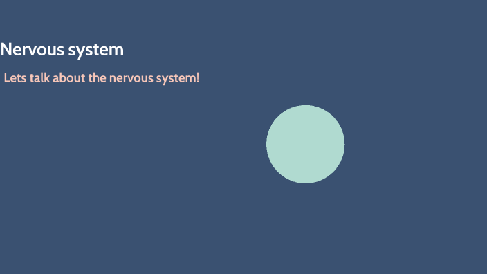 Nervous system by Chloe Daugherty on Prezi