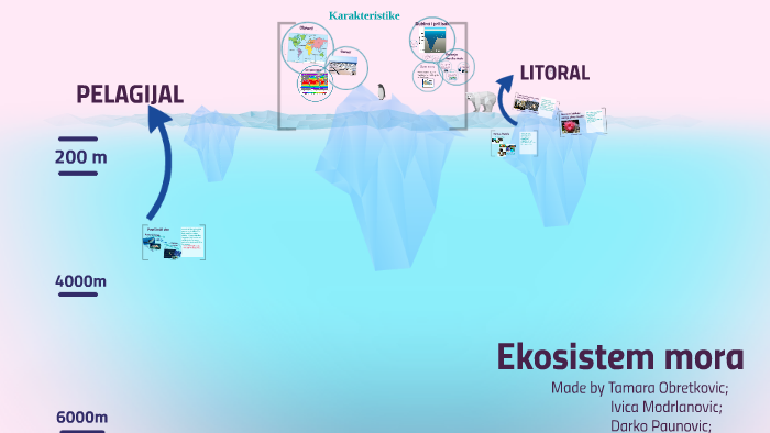 Ekosistem mora by Tamara Obretkovic on Prezi