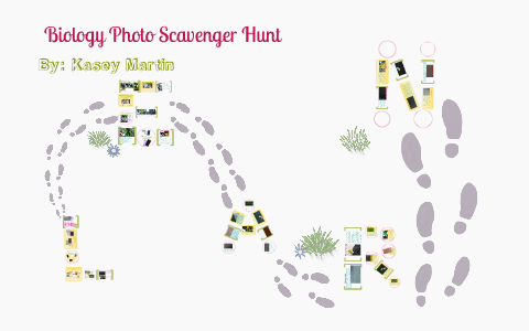 Biology Photo Scavenger Hunt Project by Kasey Martin on Prezi