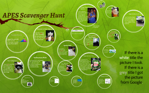 APES Scavenger Hunt by faith hogue on Prezi