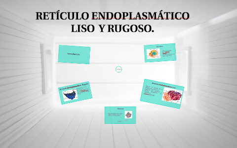 RETICULO ENDOPLASMATICO LISO Y RUGOSO. by Ana Paula on Prezi
