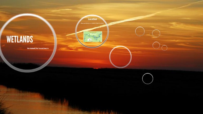 WETLANDS by Elma Ibrahimovic on Prezi