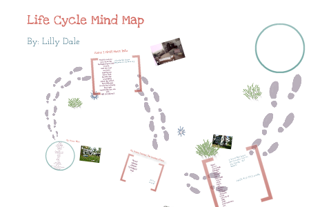 Unit 1 Culminating Task: Life Cycle Mind Map by lilly dale on Prezi