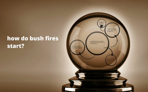 how do bushfires start? by Julien Bloch