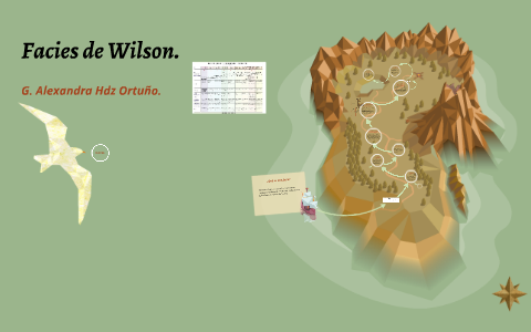 Facies de Wilson. by Alex Ort on Prezi