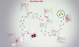 Free red blood cell powerpoint templates | Prezi