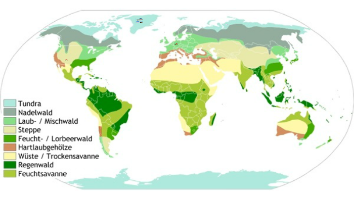 Die polare Zone by Corinna Köpplreiter on Prezi